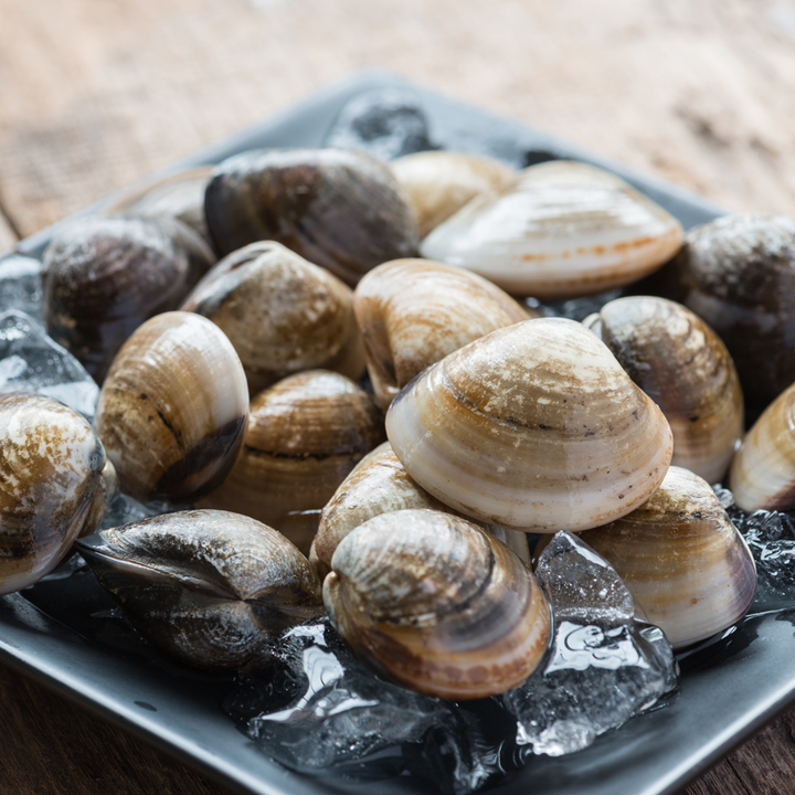 Exotic Fish and Sea Food – Bombay Fish Co.